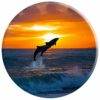 Delphine - Dolphins PopSockets PopGrip: Ausziehbarer Sockel und Griff ...