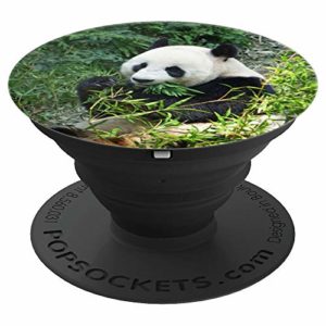Panda PopSockets mit austauschbarem PopGrip | CJ Grips Original PopSockets