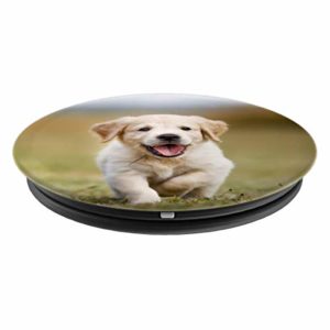 Golden Retriever Welpe PopSockets mit austauschbarem PopGrip | CJ Grips ...