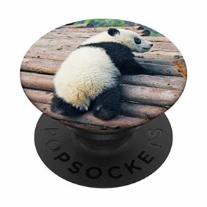 Panda Baby PopSockets PopGrip: Ausziehbarer Sockel und Griff für Handys/Tablets mit Tauschbarem ...